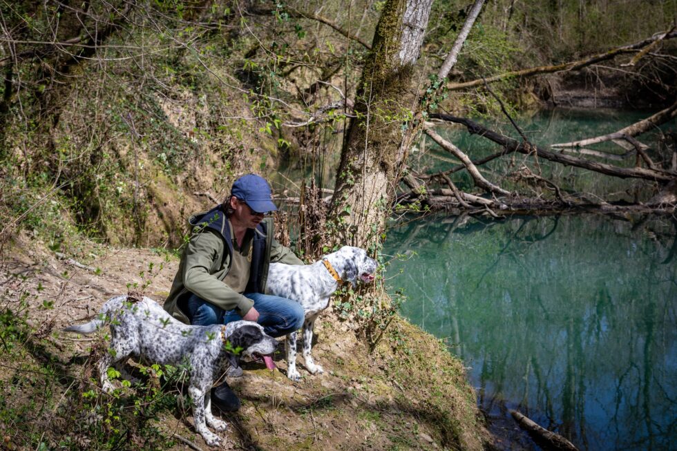 Lov na tartufe - Tartufi Istra